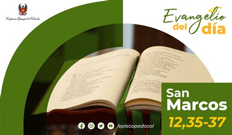 9 de junio Lectura del santo Evangelio según san Marcos 12 35 37
