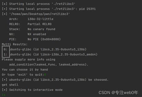 ctfwiki pwn linuxplatform usermode exploitation stackoverflow x86