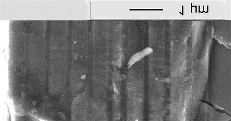 sem microphotograph of 1d si sio 2 photonic crystal with middle defect