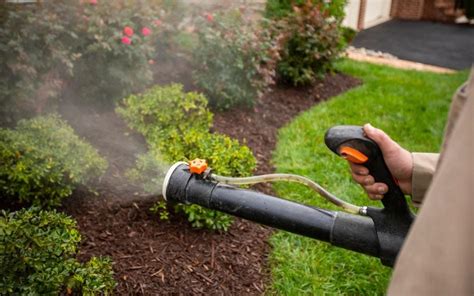 What Are Effective Methods For Mosquito Control In Residential Areas