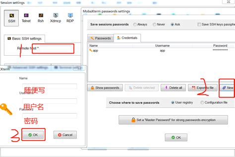 MobaXterm Upgrade To Professional Version Programmer Sought