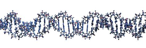 Virus Con Adn “extraterrestre”