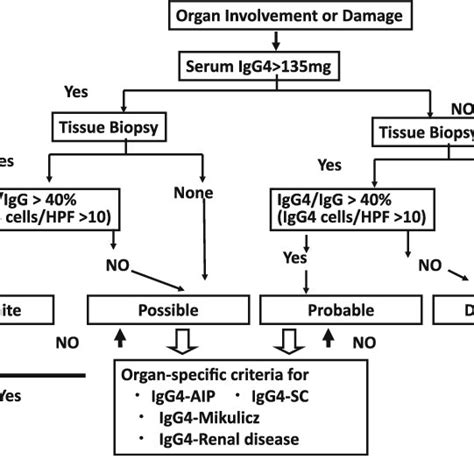 Clinical Diagnostic Criteria Of Igg Related Sclerosing Cho Langitis