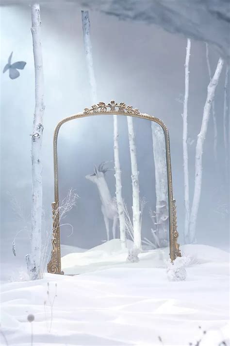 Gleaming Primrose Mirror Anthropologie