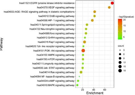 Kegg Pathway Enrichment Analysis Download Scientific Diagram