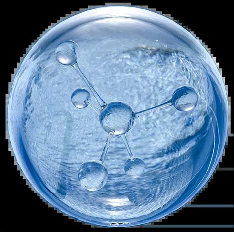 水分子 花瓣网