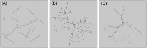 Schematic Diagram Of The Extracted Fracture Network Download