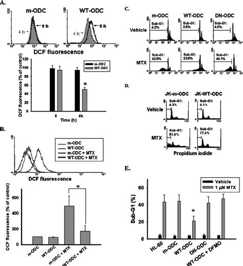 Odc Overexpression Reduced The Intracellular Ros And Mtx Induced Ros Download Scientific