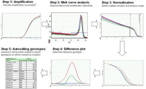 Real time PCR 노트 qPCR tip HRM high resolution melting