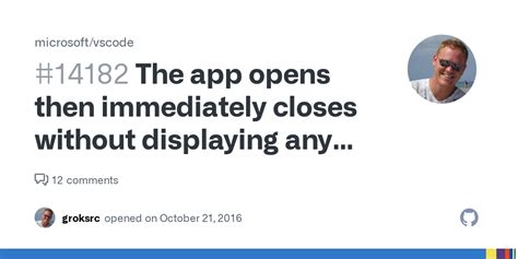 The App Opens Then Immediately Closes Without Displaying Any Error · Issue 14182 · Microsoft
