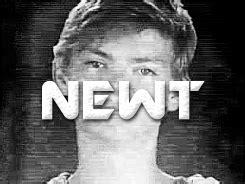 Newt Tmr OhMyDollz Le Jeu Des Dolls Doll Dollz Virtuelles Jeu De Mode Habillage Jeu