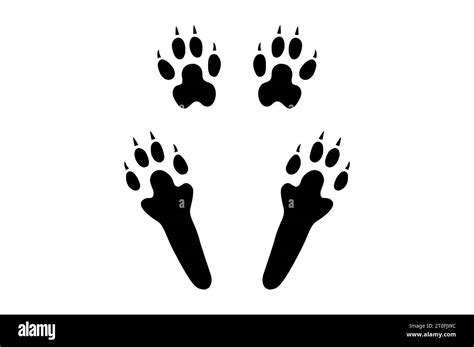 Rabbit Or Hare Paw Footprint Silhouette Of Four Paws Hind And Front