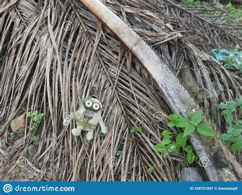 One Dirty Thrown Away Frog Soft Toy Laying On The Bushy Field Stock