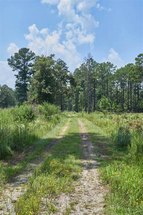 Fish Pond Loop Extension South Carolina Off Road Trail Map