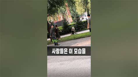 좀 도와주지 진짜 사람들 왜 저래 뒷짐지고 멀뚱멀뚱 가만히 구경만 하거나 카메라로 찍기 바쁜 사람들 속에서 주인도 그냥 포기해 버린 현장의 모습 Youtube