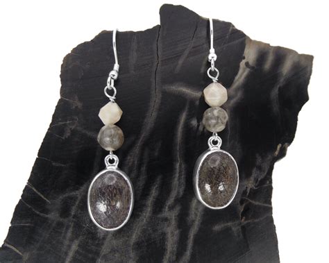 Crinoid Website Artofit