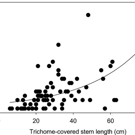 Relationship Between The Length Of The Trichome Covered Portion Of The