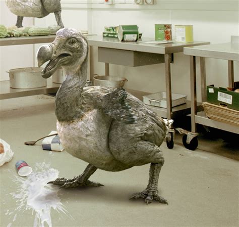 Dodo Tsot Primeval Fanon Wiki Fandom Powered By Wikia