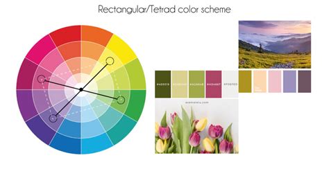 Tetradic Color Scheme Examples