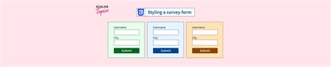 Styling A Survey Form Using CSS CSS Projects Scaler Topics
