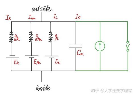 Hodgkin Huxley Model