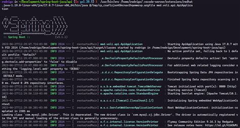 Erro ao iniciar aplicação após adição de dependencias de conexão e configuração Spring Boot