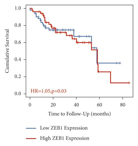 Univariate Analysis Of The Prognostic Value Of ZEB1 Expression In OSCC