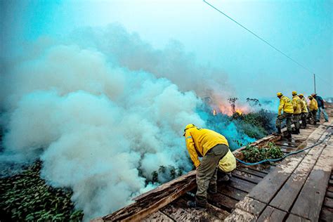 Los Incendios En El Pantanal Alcanzan Nivel Récord Y Presionan A