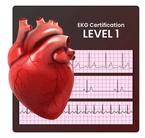 Ekg Certification Pro Package Surefire Cpr