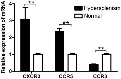 The Relative Quantification Of Cxcr3 Ccr5 And Ccr3 Gene Expression In