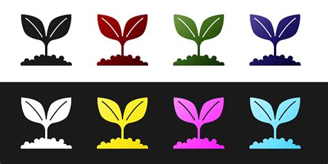 在黑白背景上設置植物圖示種子和幼苗葉子標誌葉子自然向量向量圖形及更多側影圖片 側影 全景 剪裁圖 Istock