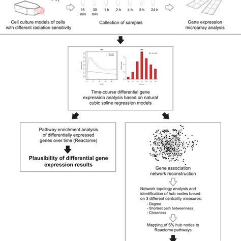 Schematic Workflow Of The Analysis Of Gene Expression Time Course