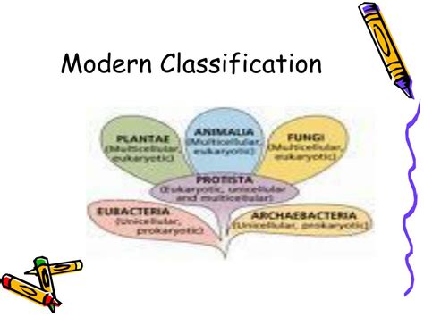 Ppt Classification Of Organisms Powerpoint Presentation Free