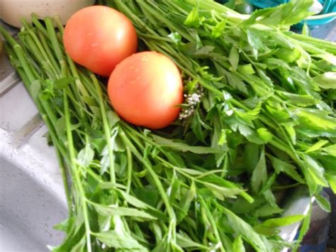 Jannahsidek Kerabu Perut Sotong Daun Selom