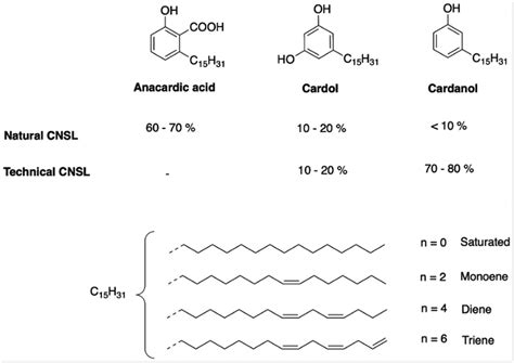 Polyols From Cashew Nut Shell Liquid Cnsl Corner Stone Building