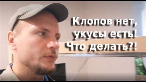 Клопов нет укусы есть что делать Youtube