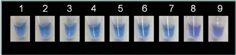 visualisation of reverse transcriptase loop mediated amplification