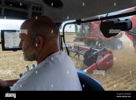 farmer in an agricultural harvester machine harvesting on the wheat