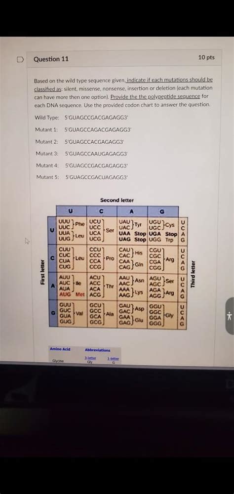 Solved D Question Pts Based On The Wild Type Sequence Chegg