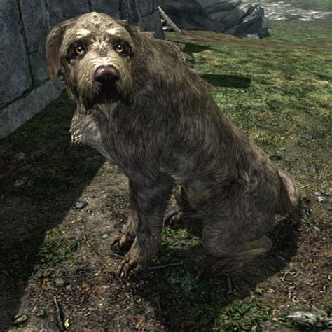 イヌ The Elder Scrolls V：skyrim 日本語 攻略 Wiki