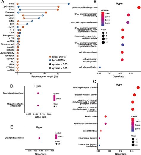 Annotations Of DMRs A The Genomic Features Overlap With DMRs The