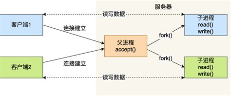 92 Io 多路复用：selectpollepoll 小林coding
