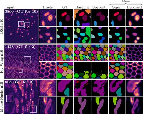 DenoiSeg Joint Denoising And Segmentation