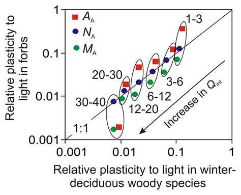 A Worldwide Analysis Of Within Canopy Variations In Leaf Structural Chemical And Physiological