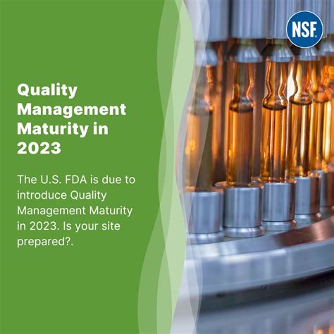 Mohammad Naiem Salem On Linkedin What You Need To Know About Quality Management Maturity