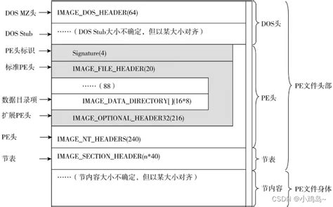 【1】pe文件头 Csdn博客