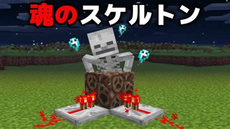 見てはいけないマイクラ都市伝説をすべて検証する【まいくら・マインクラフト】 Minecraft Summary マイクラ動画