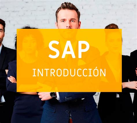 Sap Introducción Consultoría Y Capacitación En Sap