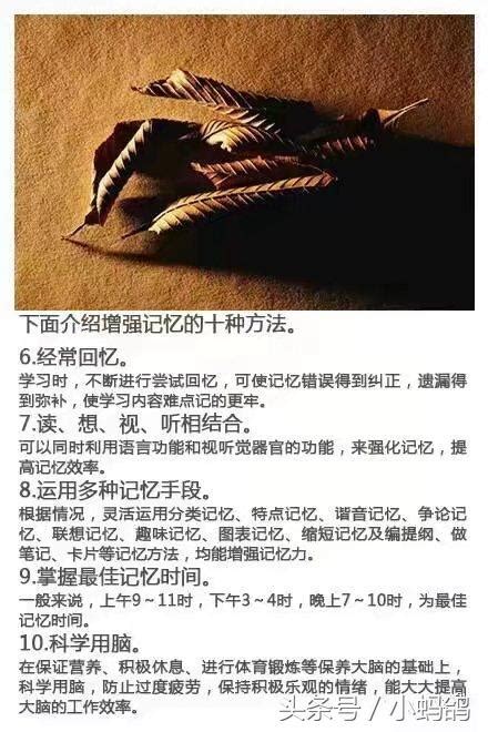 提升記憶力的訓練方法！過目就忘的童鞋，一定要收下 每日頭條