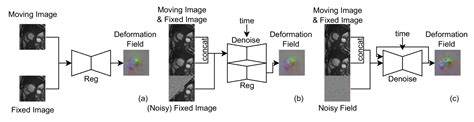 Diffusereg Denoising Diffusion Model For Obtaining Deformation Fields
